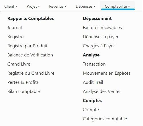 Financial Reports - ERP for small companies in Hong Kong and Singapore
